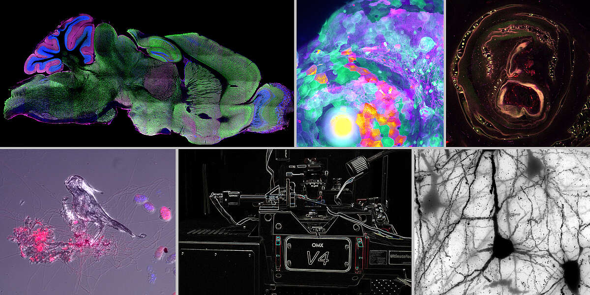 Virtuelles Biozentrum Symposium 2021 - Biozentrum